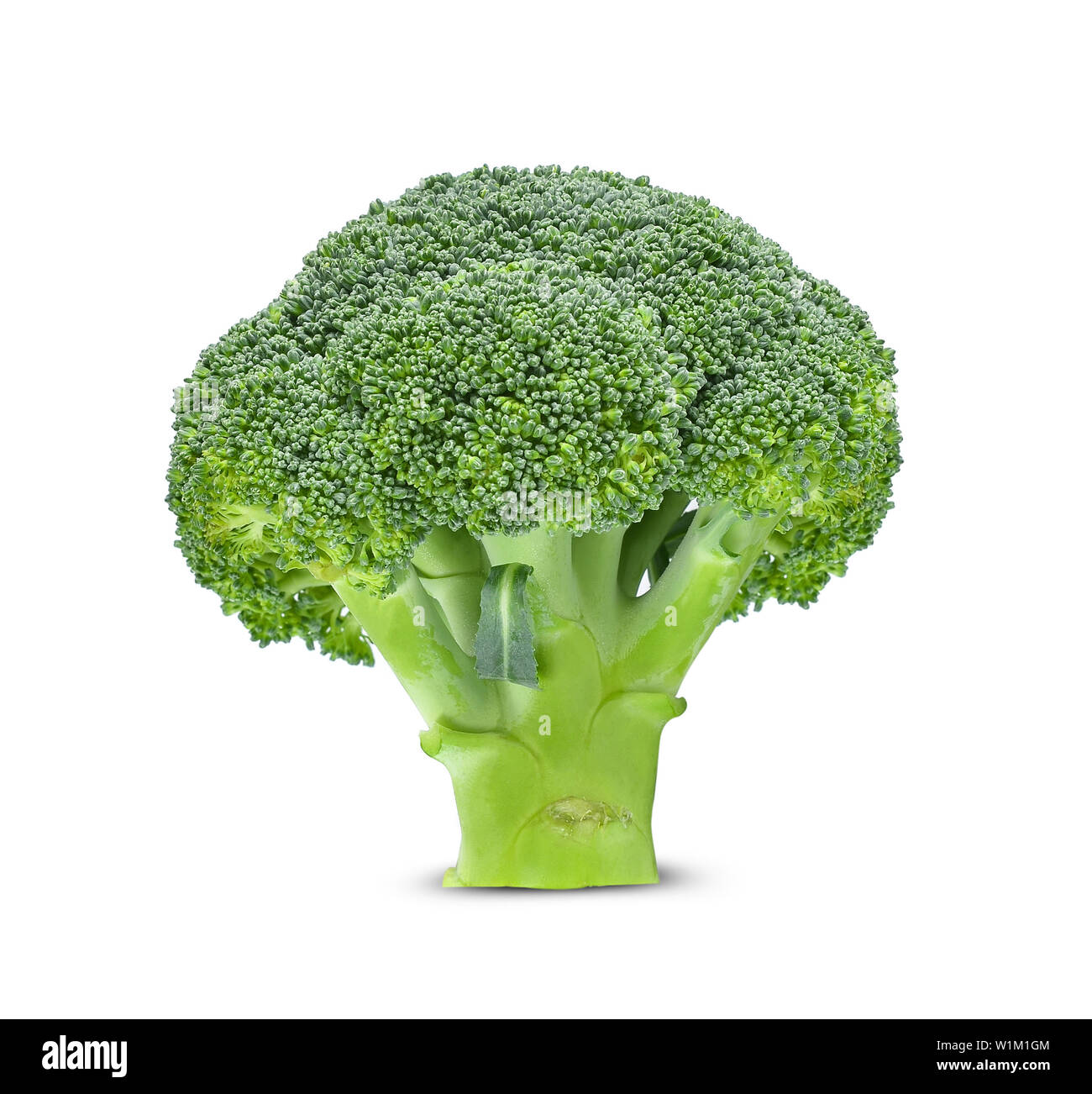 Broccoli isolated on white background Stock Photo - Alamy