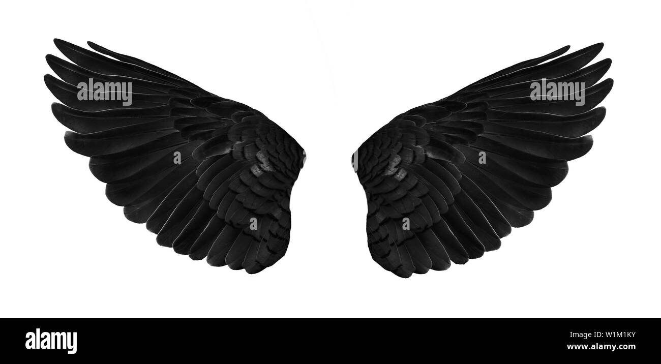 Fluffy angel wings Black and White Stock Photos & Images - Alamy