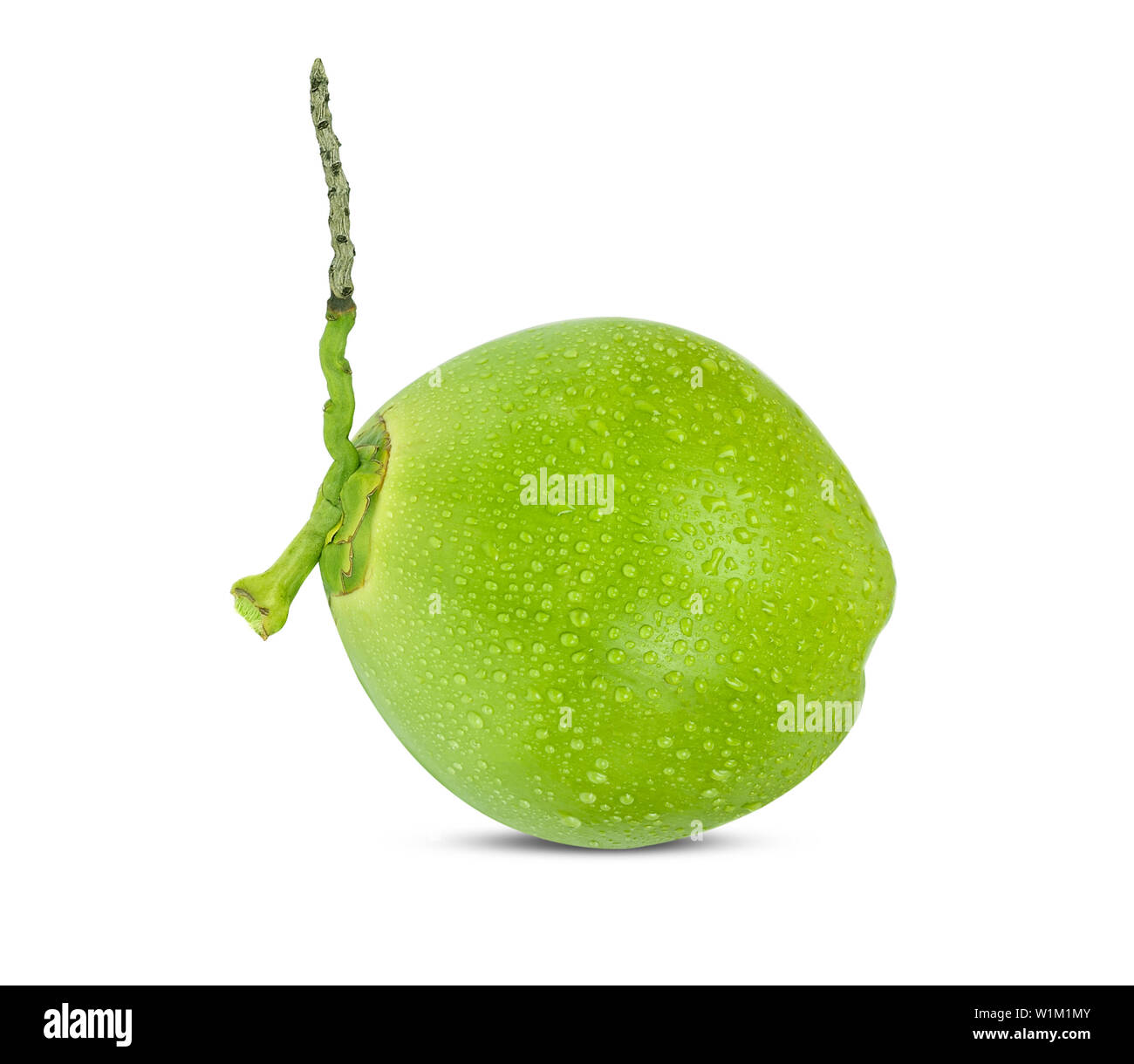 Fresh coconut with water splash hi-res stock photography and images - Alamy