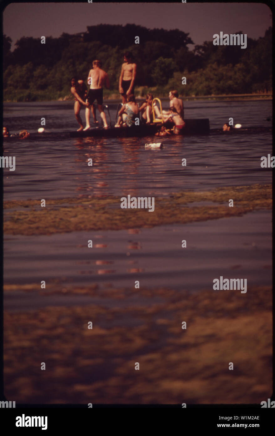 YOUNGSTERS SWIM FROM MAKESHIFT RAFT THROUGH PATCHES OF ALGAE ON THE FOX ...