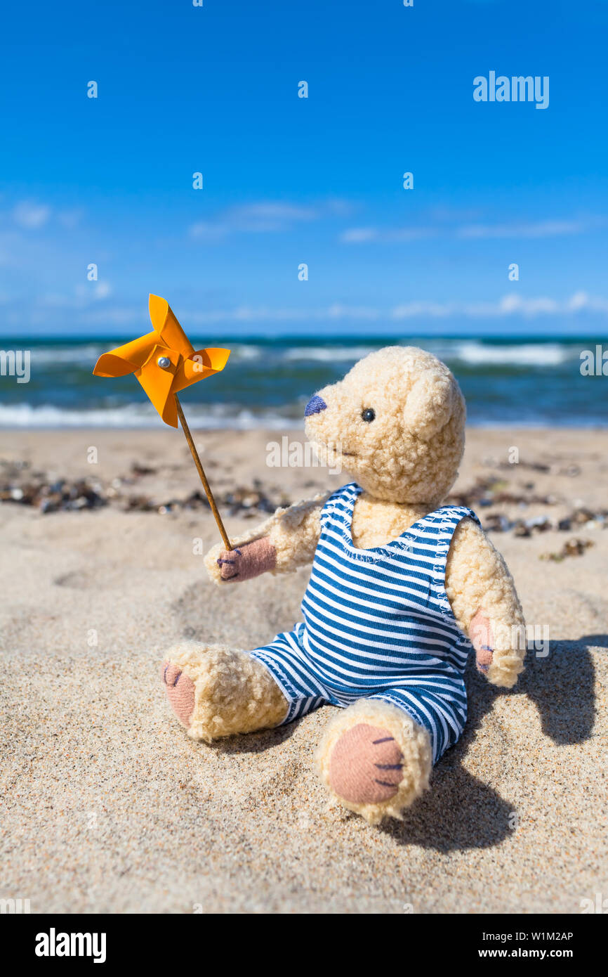 Cute teddy bear in striped swimsuit happy at summer beach with ...