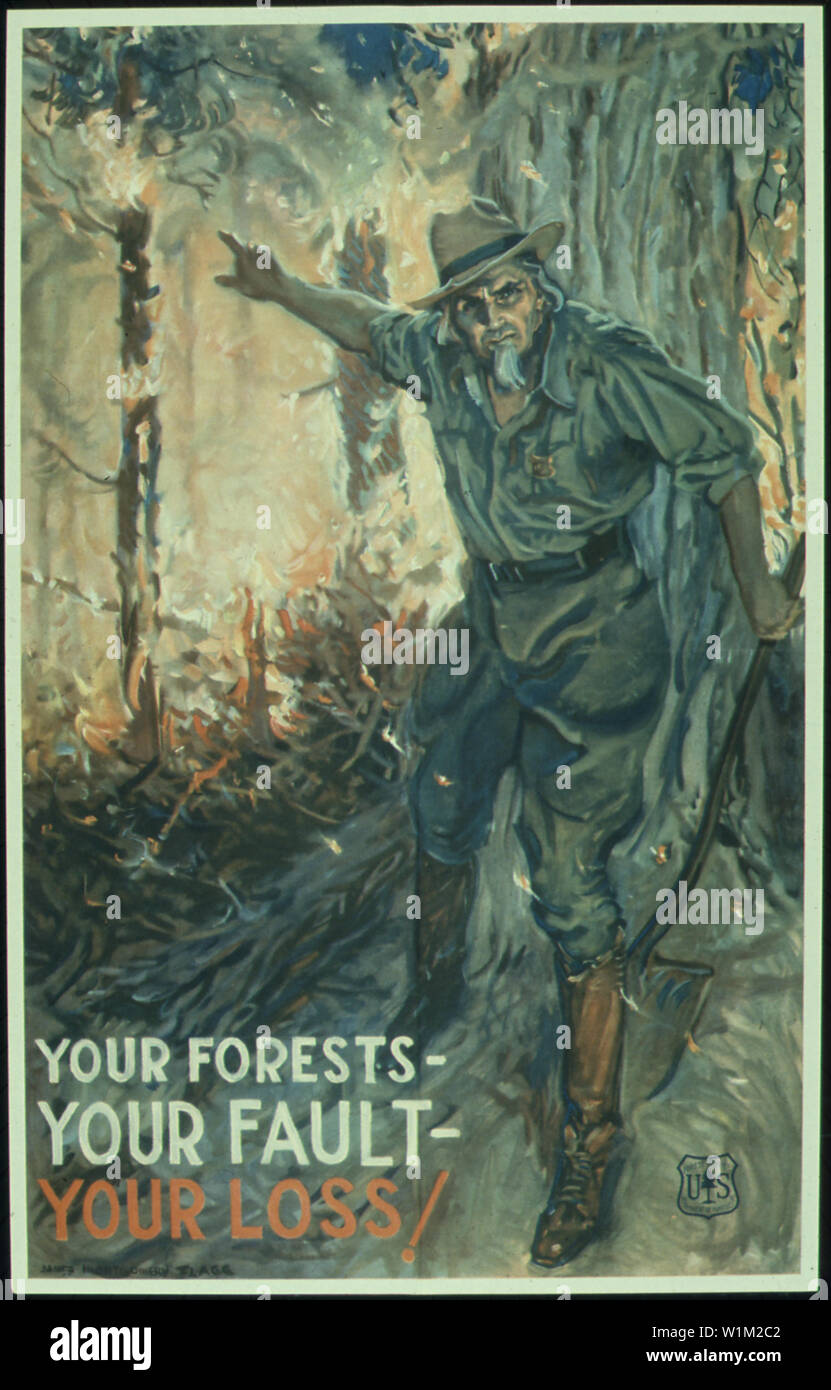 YOUR FORESTS - YOUR FAULT - YOUR LOSS! Stock Photo - Alamy