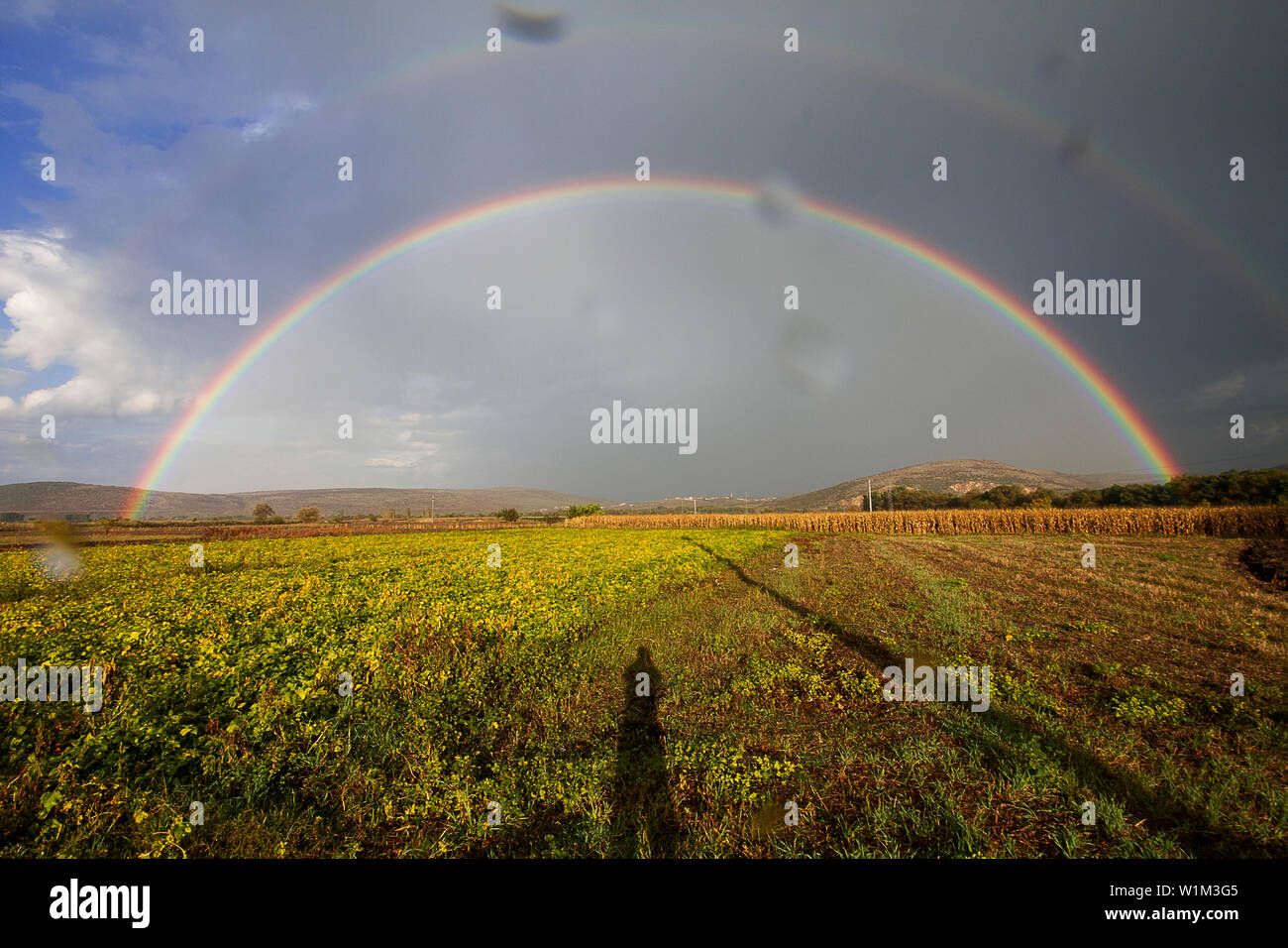 beautiful spring landscape panorama with a field and a rainbow above it ...