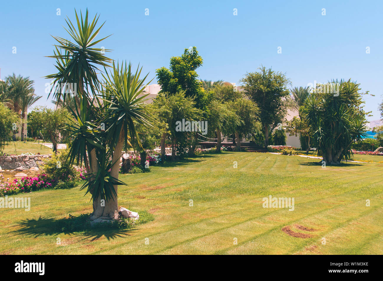 Eastern Traditional Arabian Architecture Exterior of Summer Luxury ...