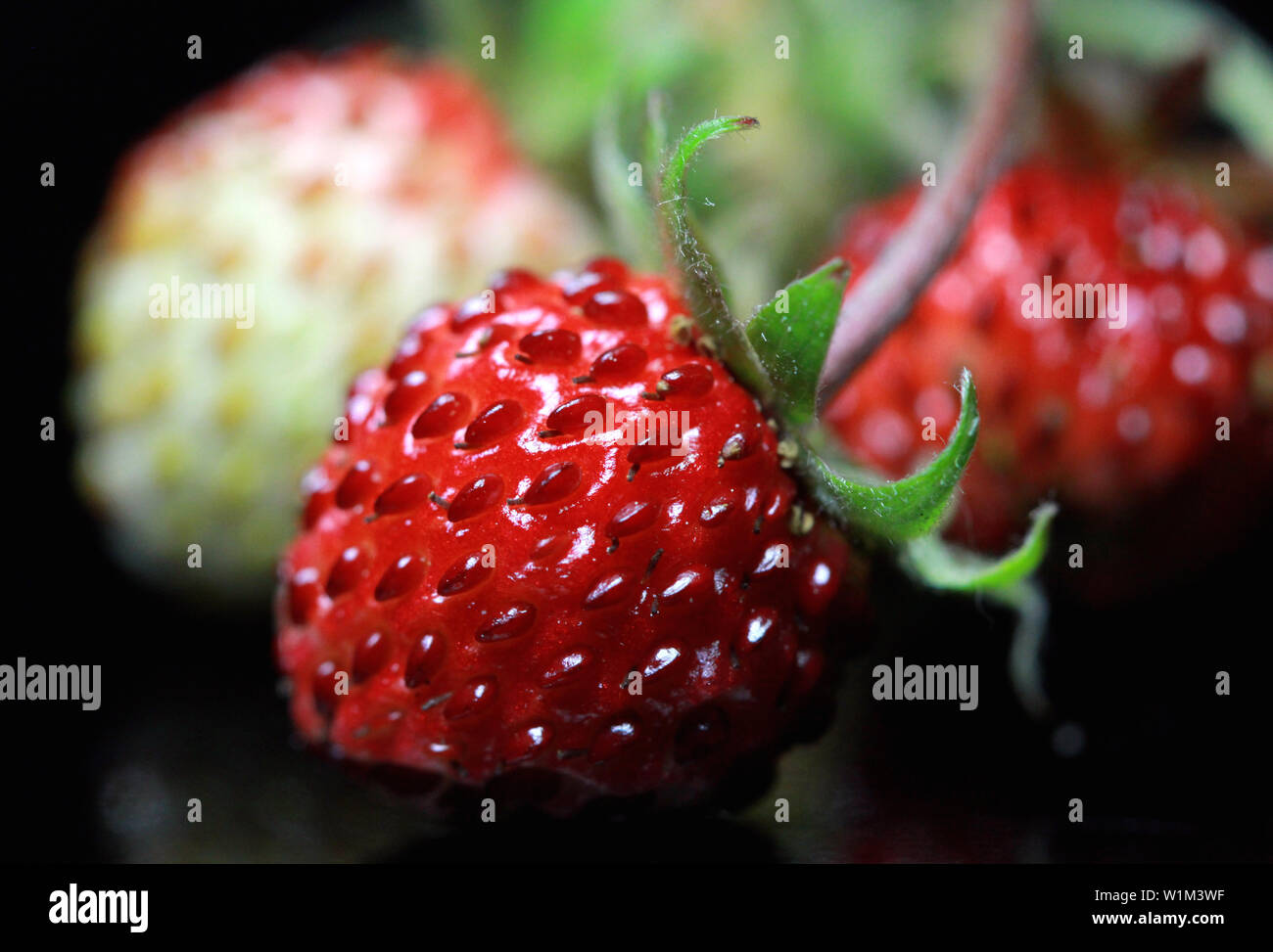 refreshment fruit food freshness delicious Stock Photo - Alamy