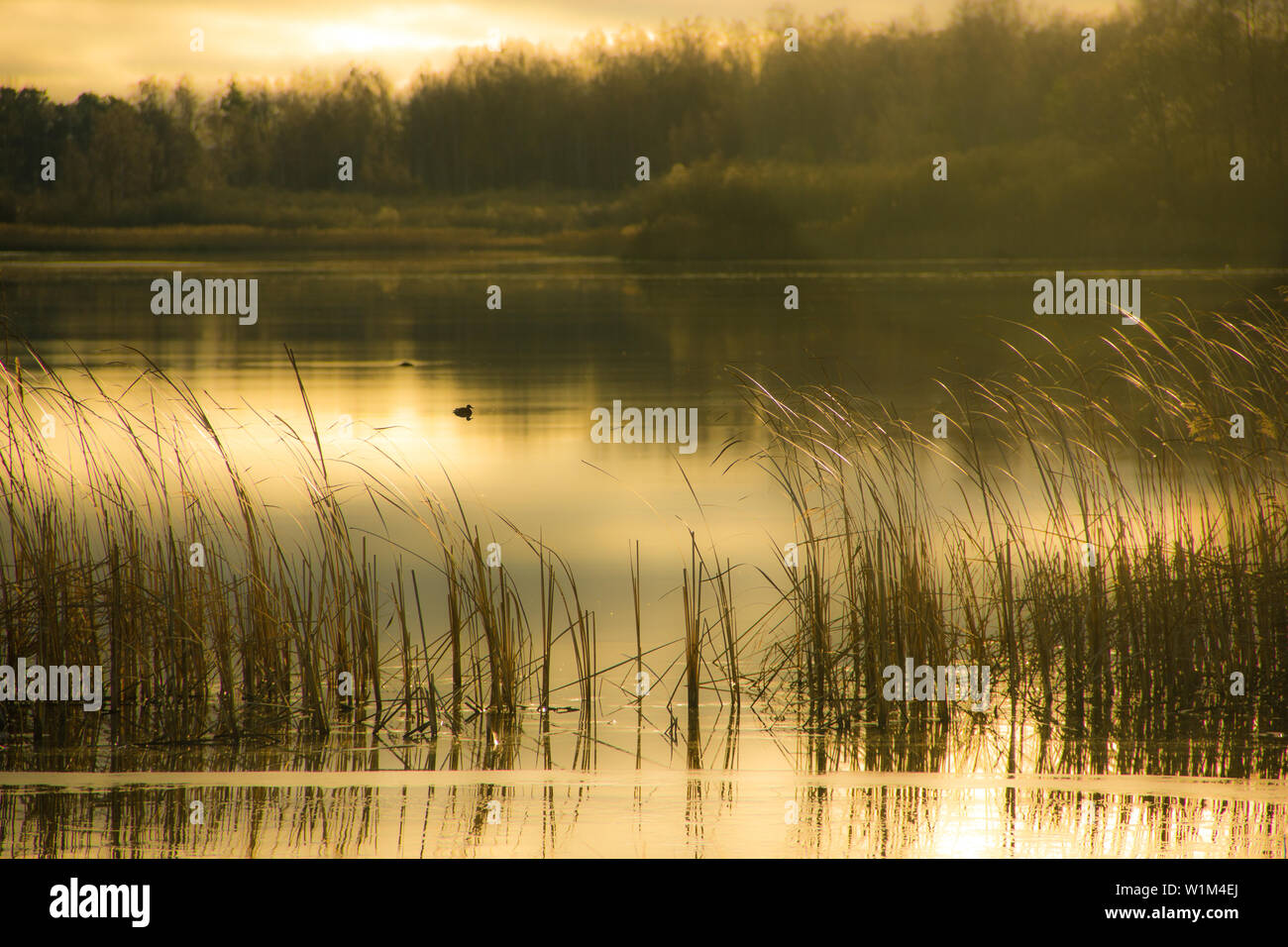 Water reflection of sunset hi-res stock photography and images - Alamy