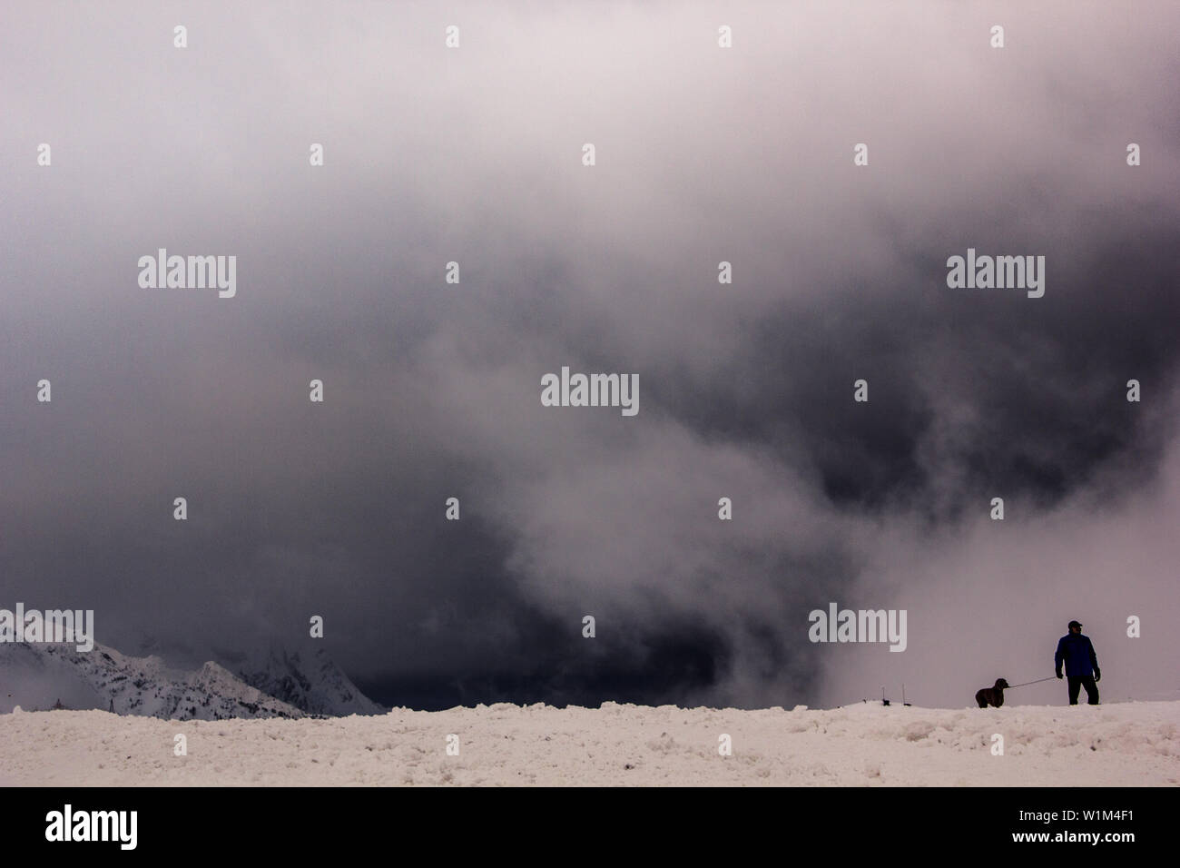 Fog Desert High Resolution Stock Photography and Images - Alamy