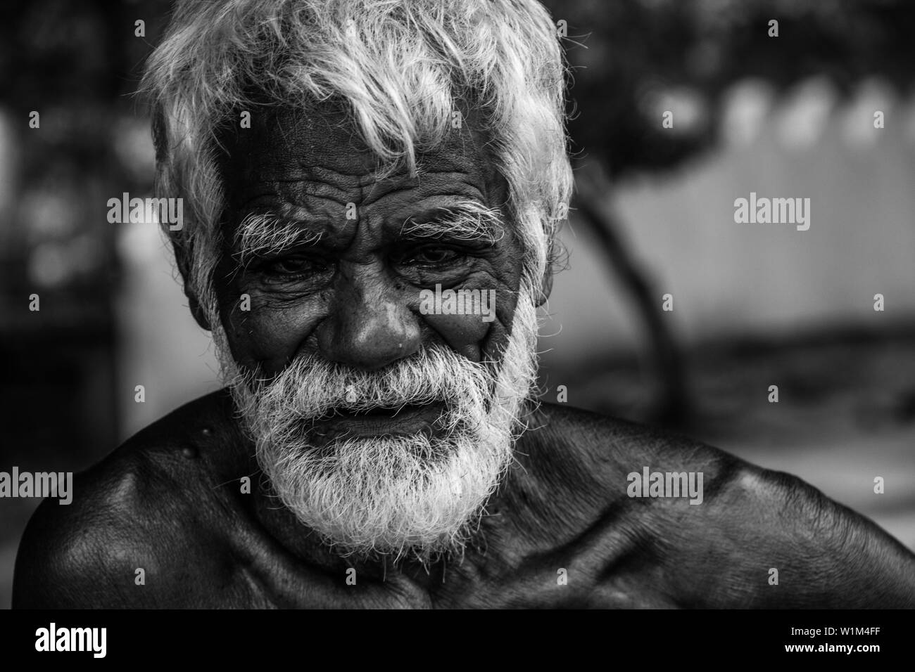 adult one man portrait people Stock Photo - Alamy