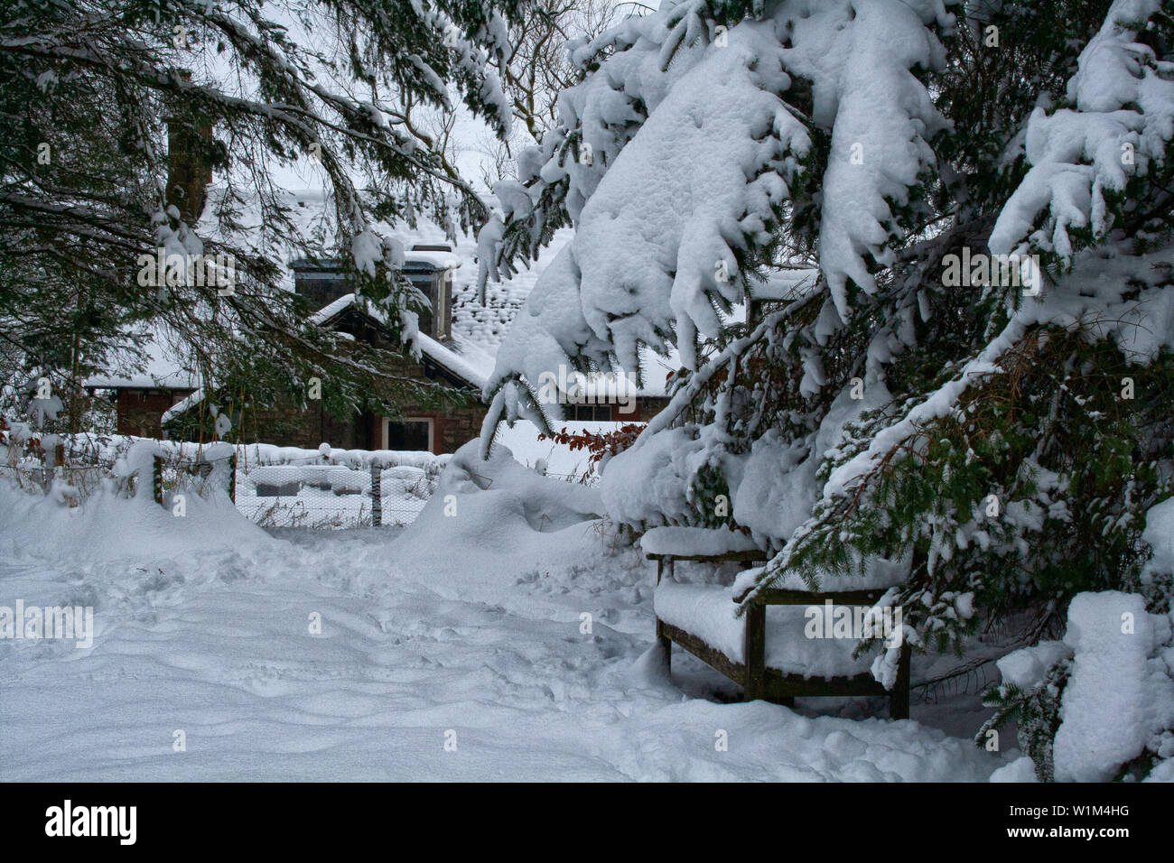 In the garden of Estella Cottage, Leadhills Stock Photo - Alamy