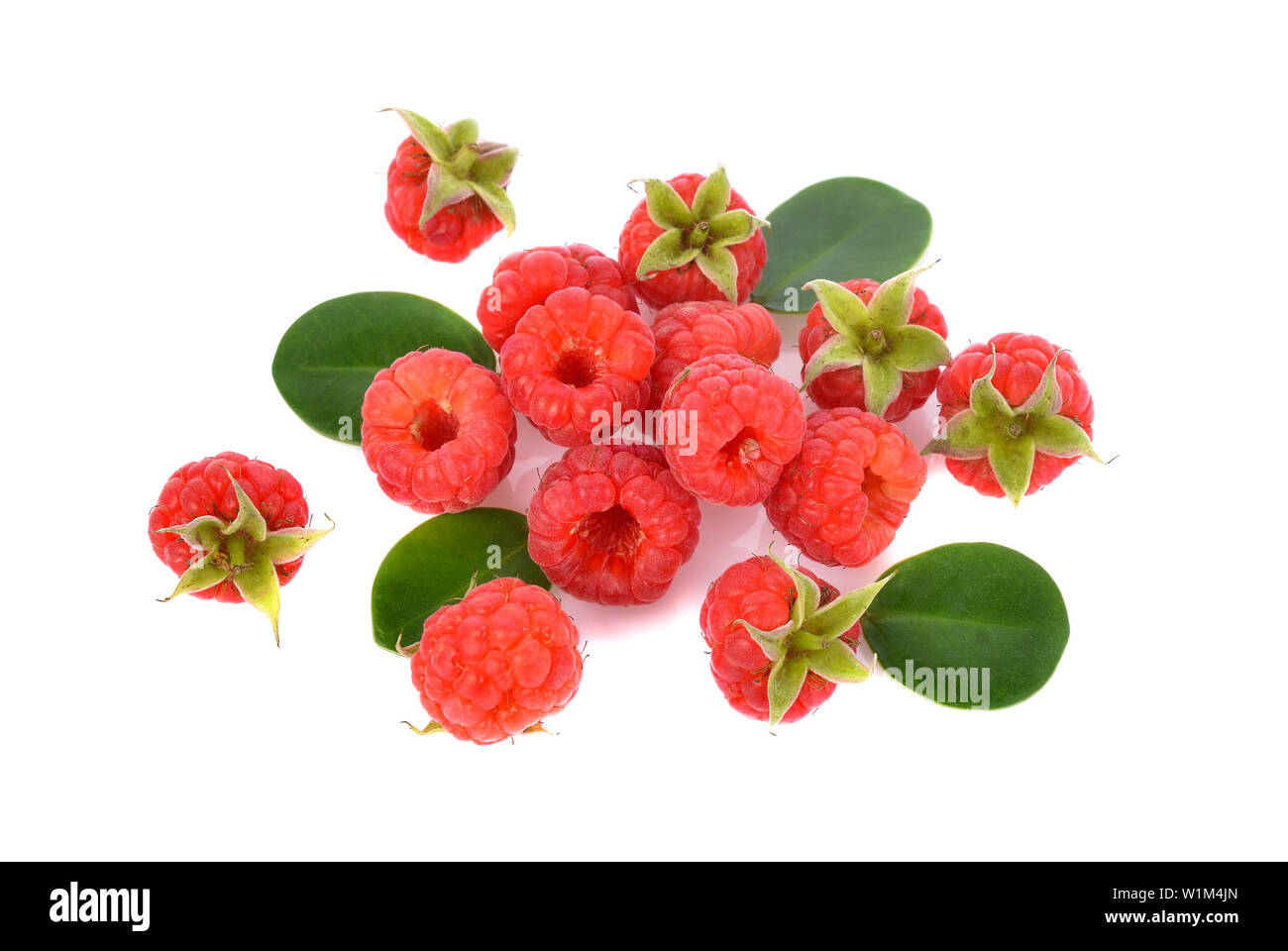 Top view of Raspberries with green leaf isolated on white background ...