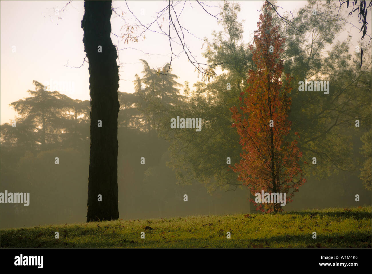 Mist sunset hi-res stock photography and images - Alamy