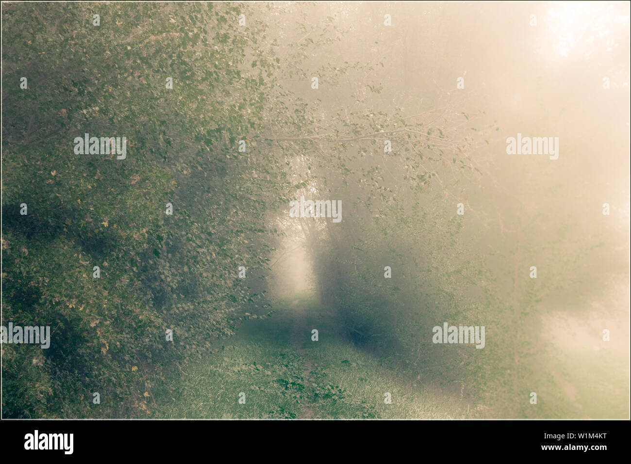 Vintage texture landscape hi-res stock photography and images - Alamy