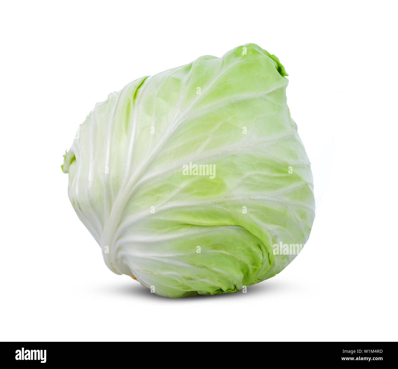 Cabbage (Brassica oleracea var) isolated on white background Stock ...
