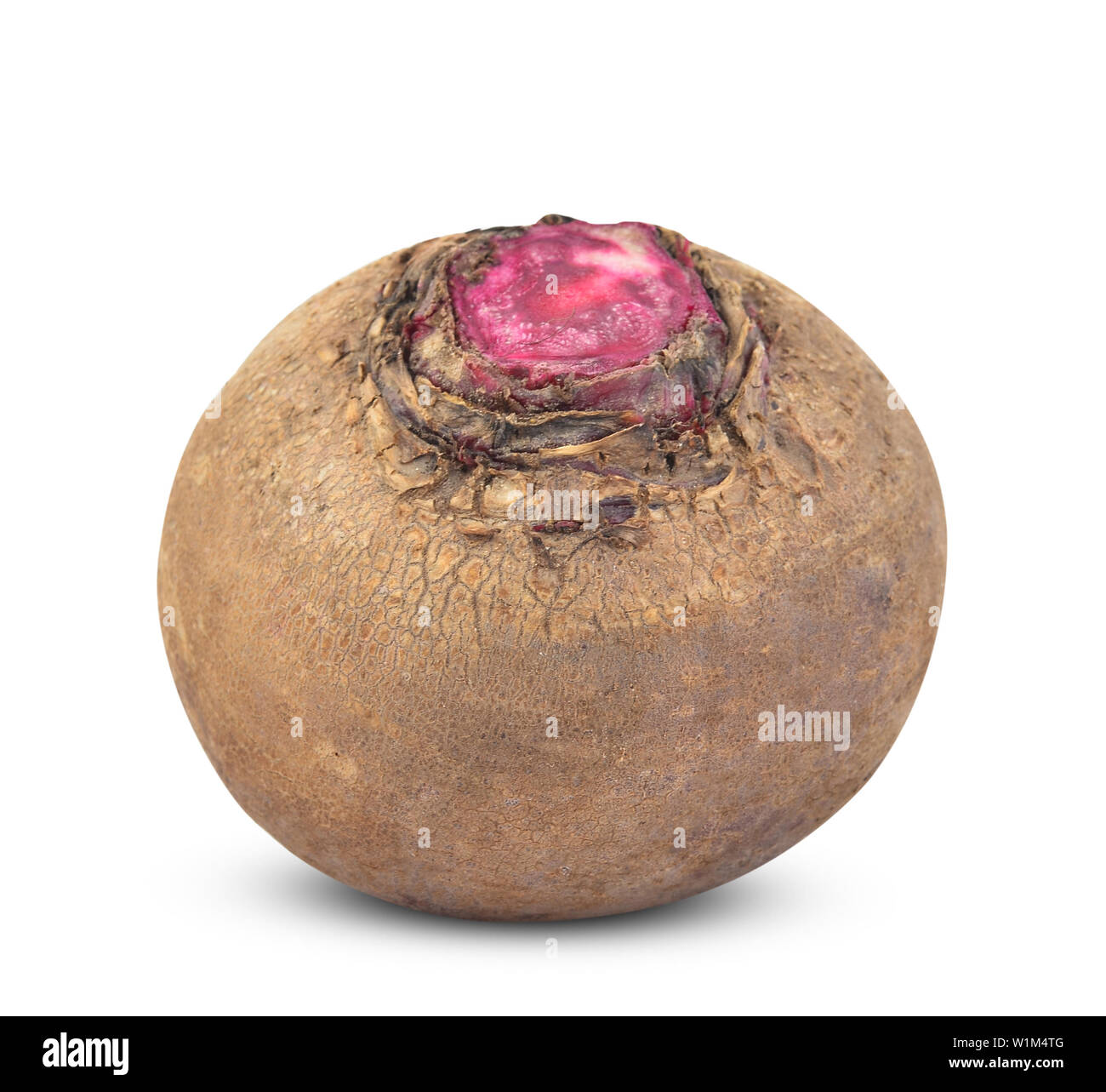 Beetroot isolated on white background Stock Photo - Alamy