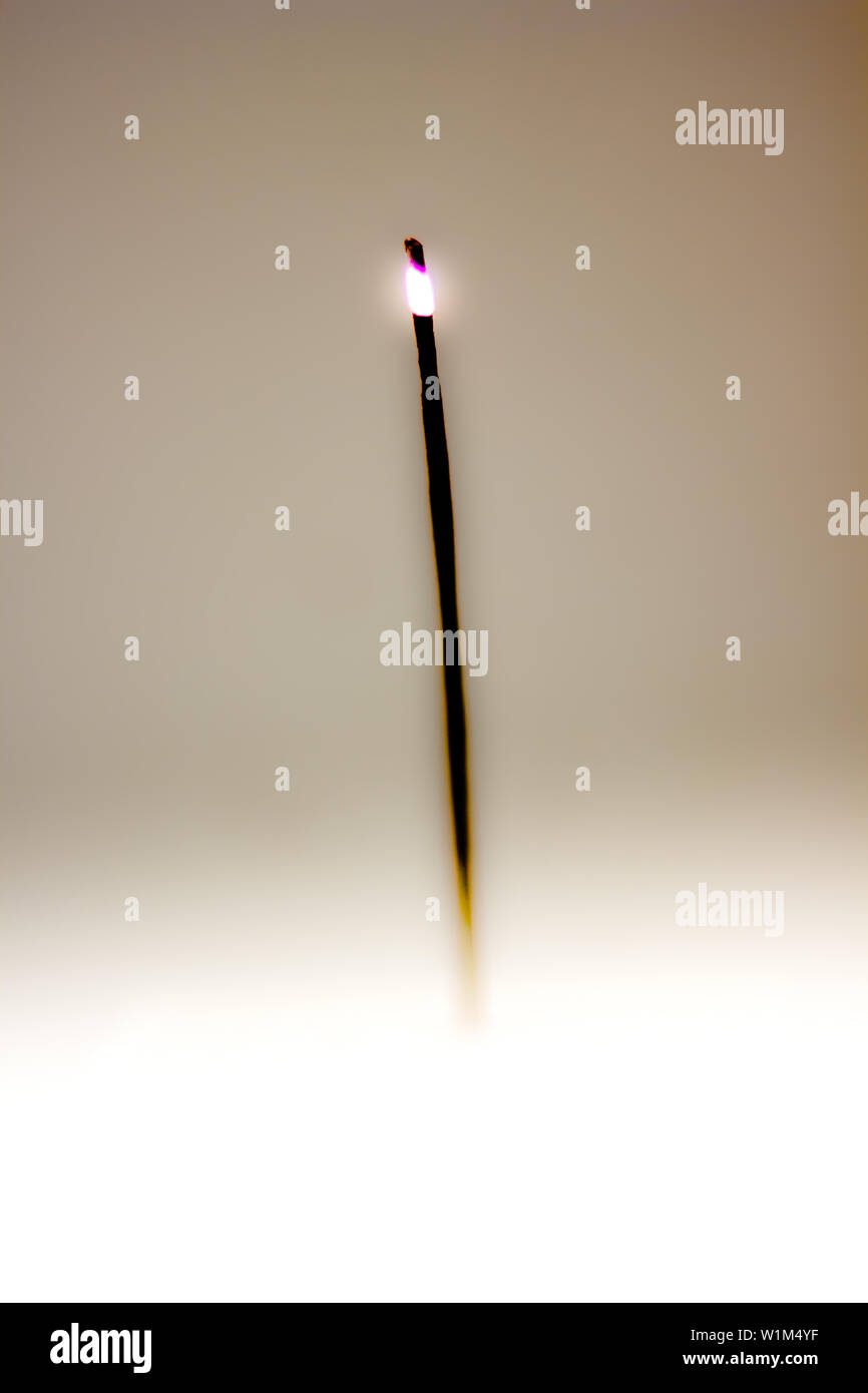 Insubstantial High Resolution Stock Photography and Images - Alamy