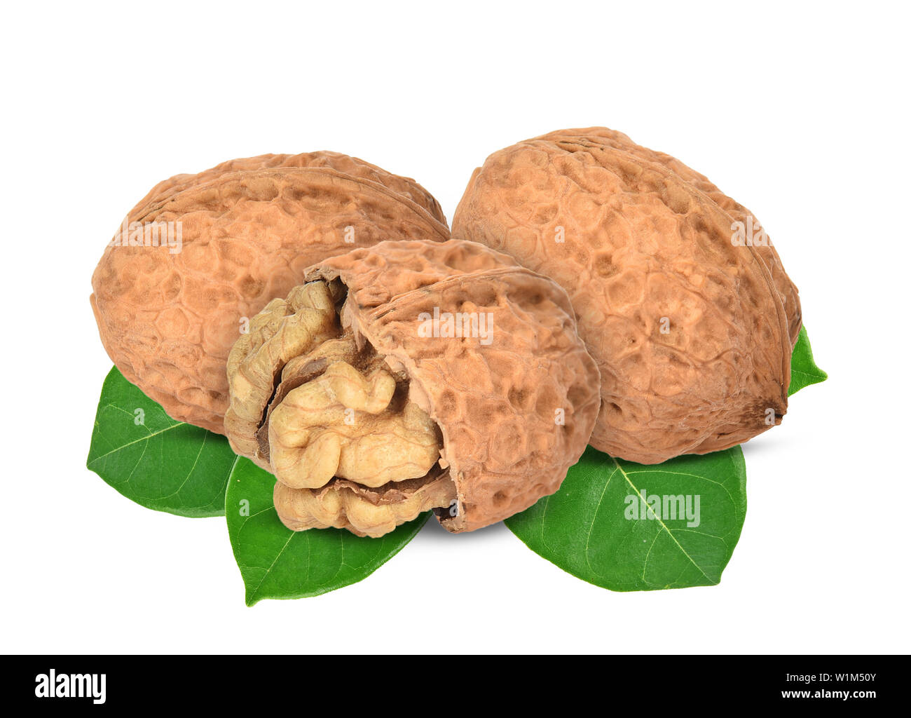 Nuts walnut kernels whole Cut Out Stock Images & Pictures - Alamy