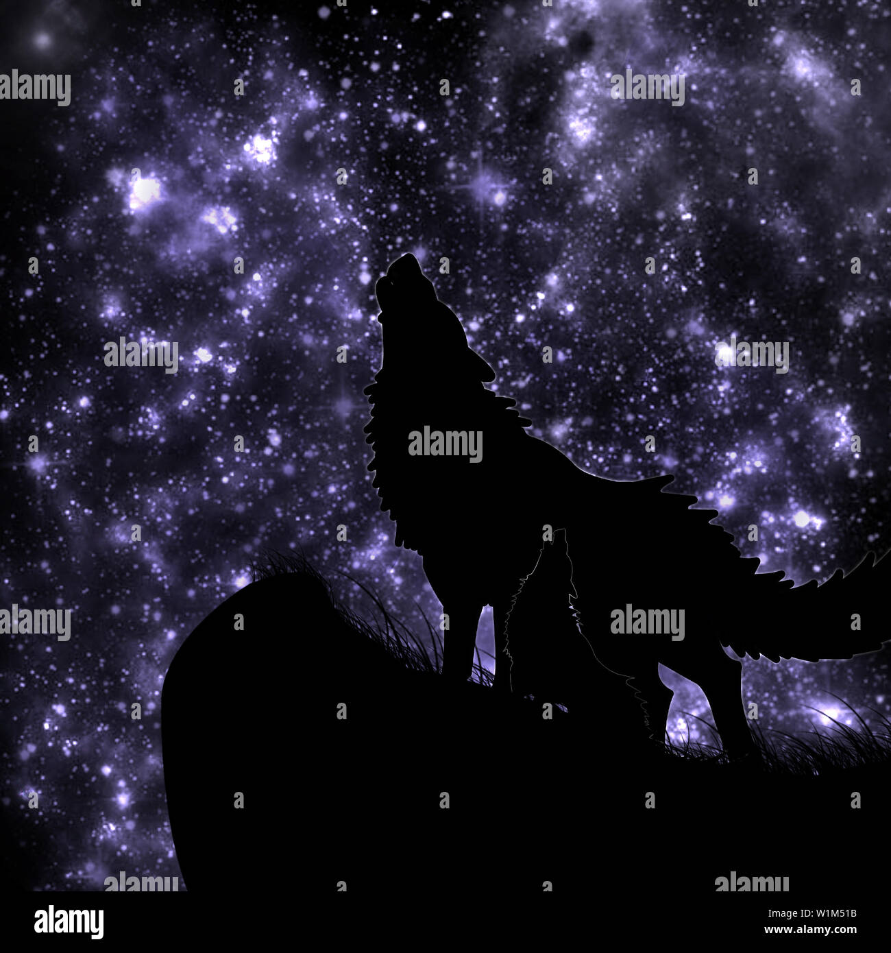 Wolf howl sky hi-res stock photography and images - Alamy