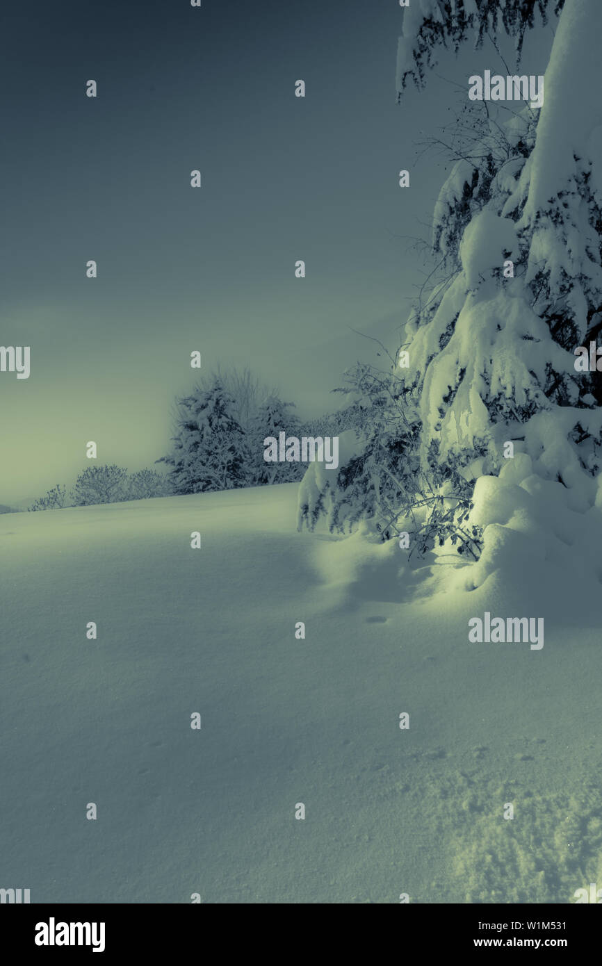 landscape cold winter snow nature Stock Photo - Alamy