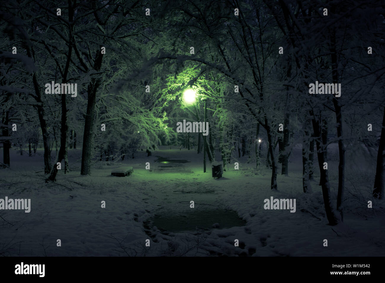 dawn fog snow wood mist Stock Photo - Alamy