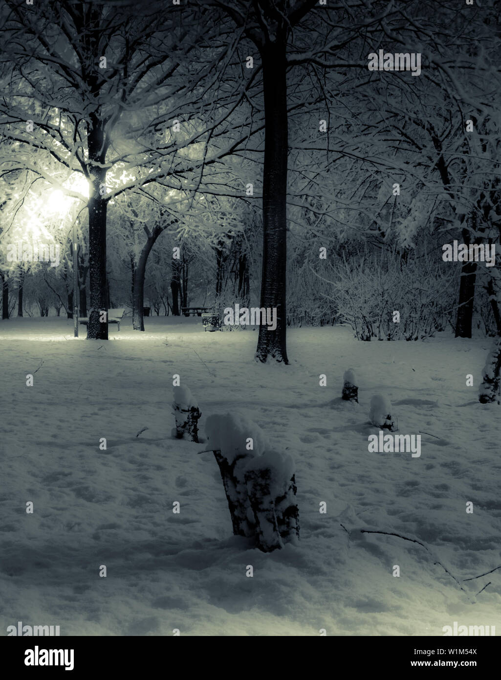 ice winter people cold snow Stock Photo - Alamy