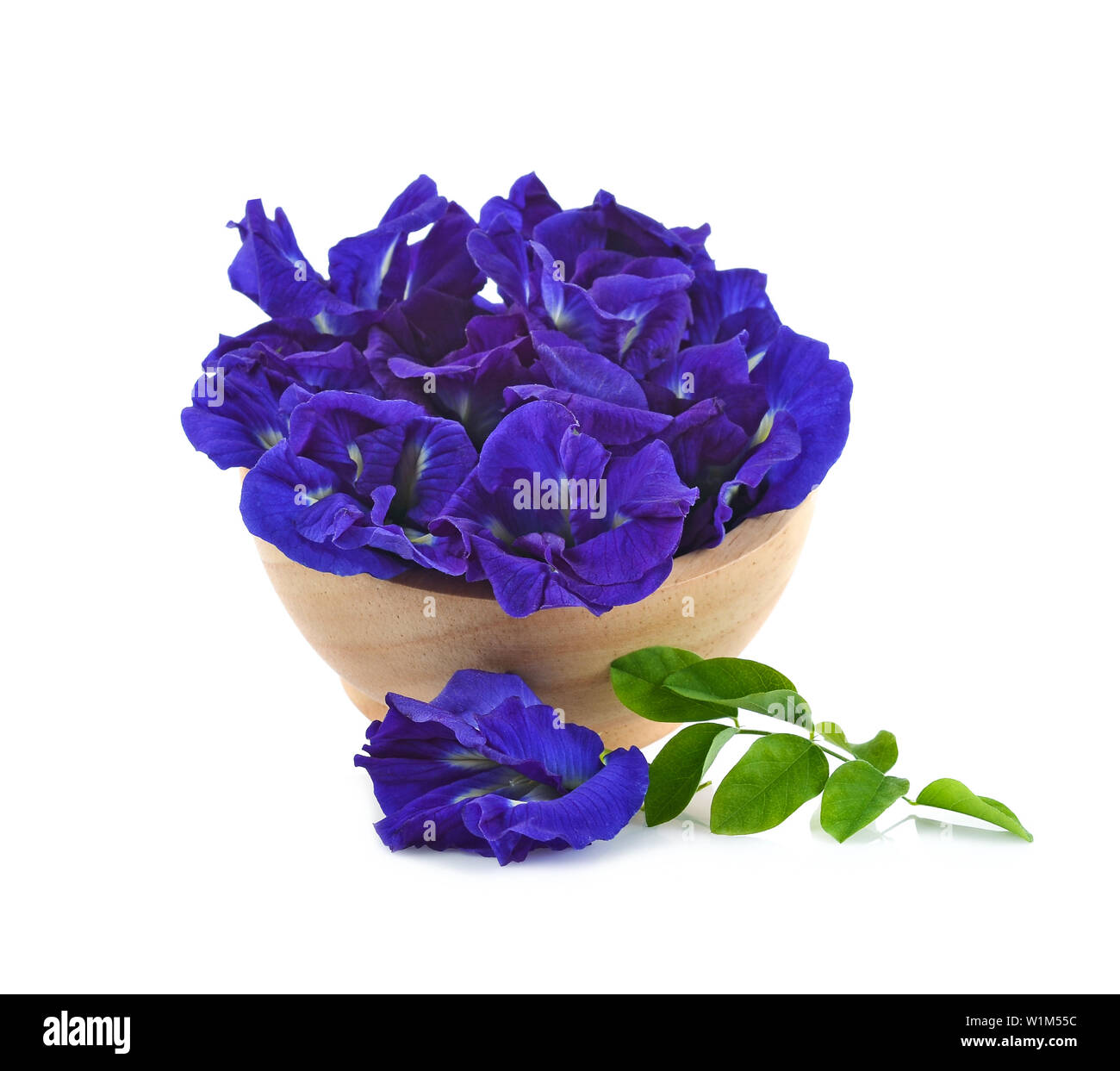 Clitoria ternatea or Aparajita flower isolated on white background ...