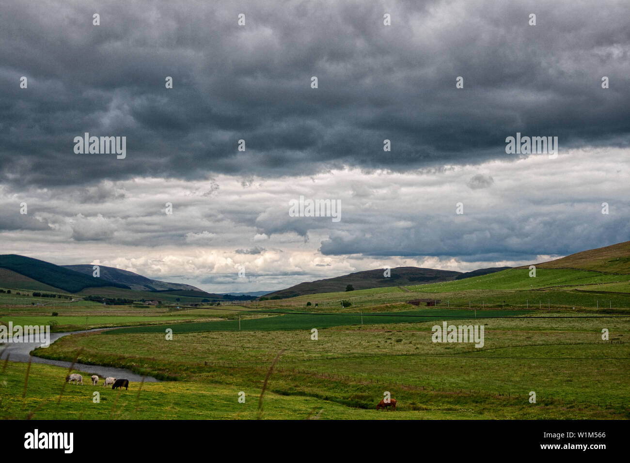 Grey highlands hi-res stock photography and images - Alamy