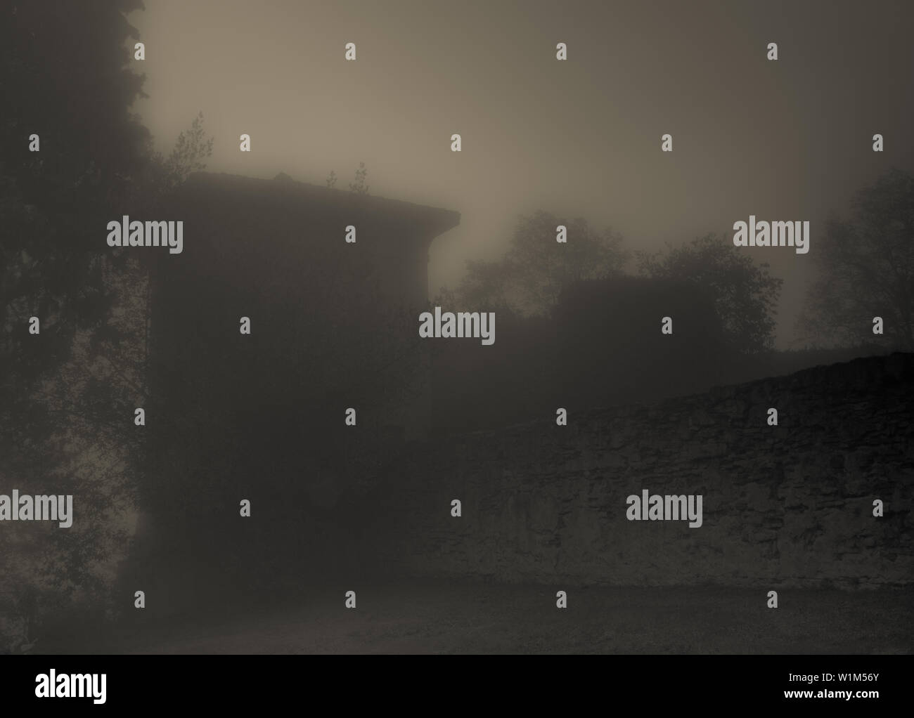 evening smoke tree rain eerie Stock Photo - Alamy