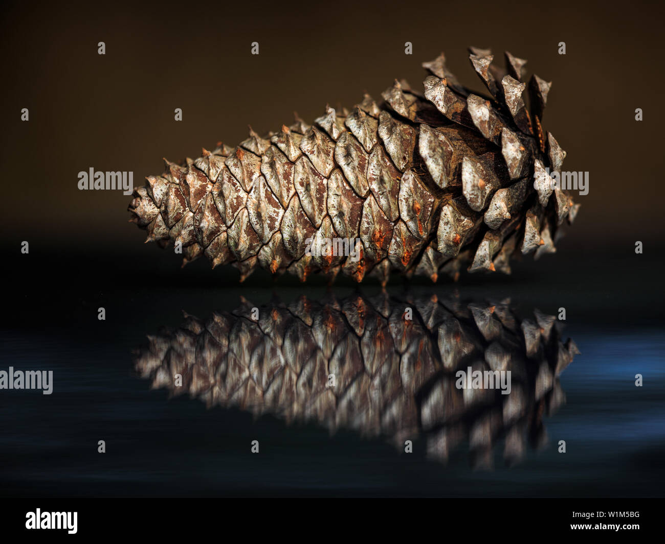 nature stilllife desktop texture Stock Photo - Alamy