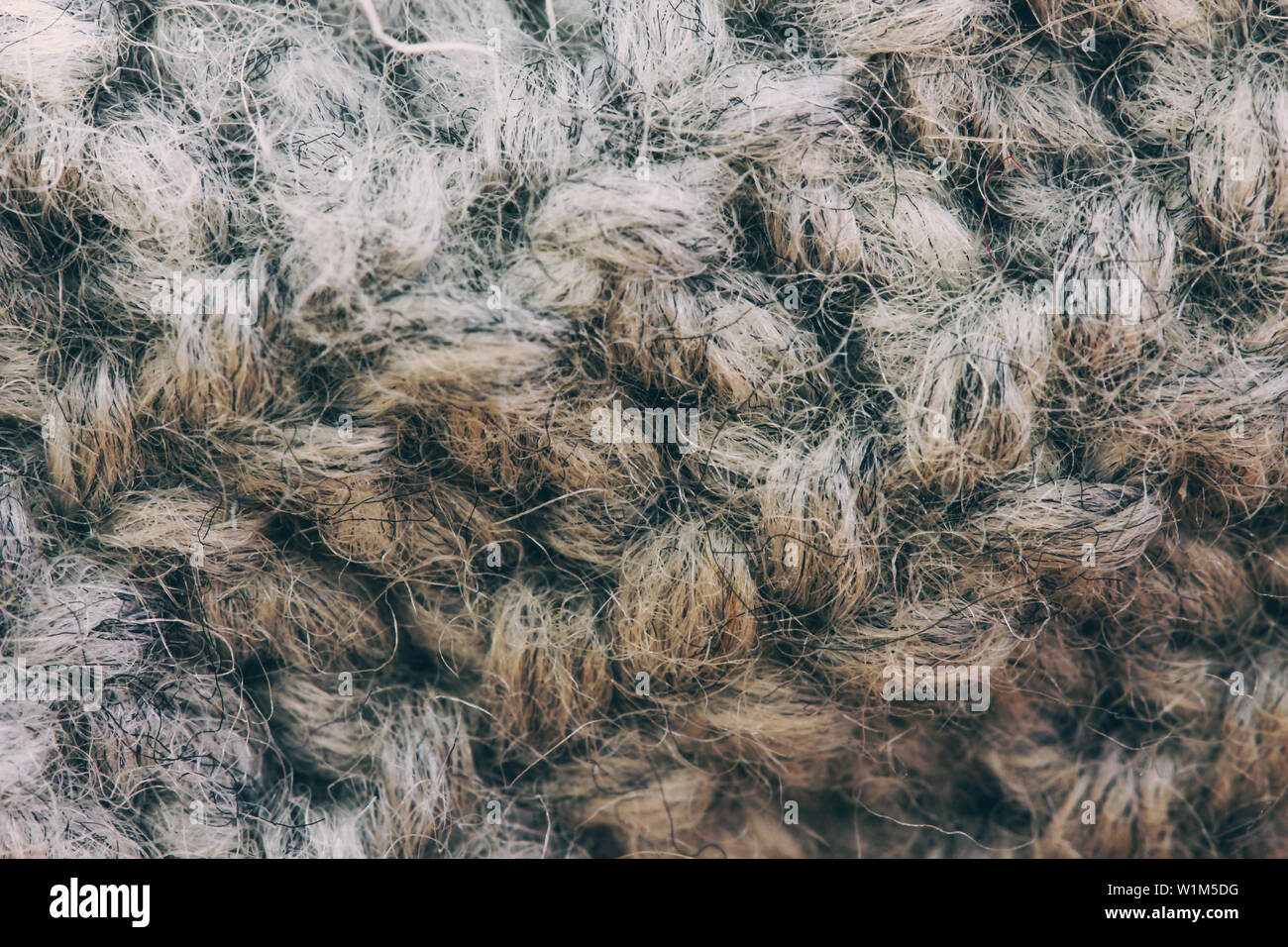 Abstract nature texture hi-res stock photography and images - Alamy