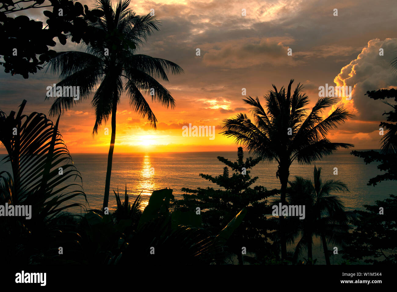 palm dawn tropical seashore water Stock Photo - Alamy