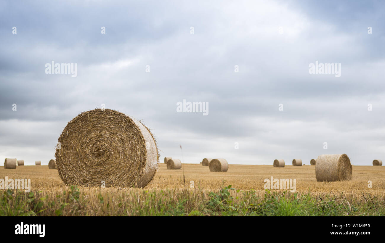 Crop straw hi-res stock photography and images - Alamy