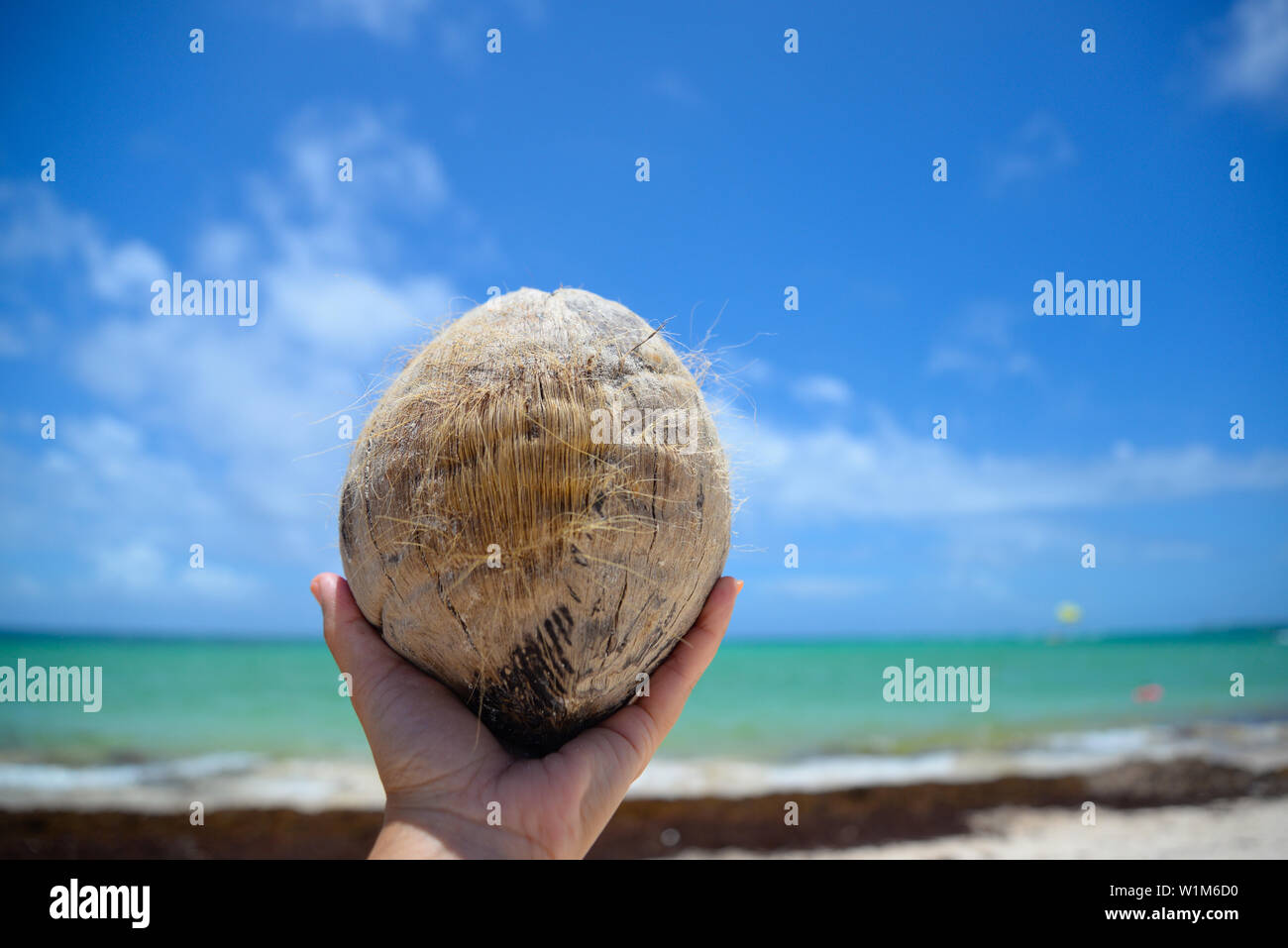 Exotic water hi-res stock photography and images - Alamy