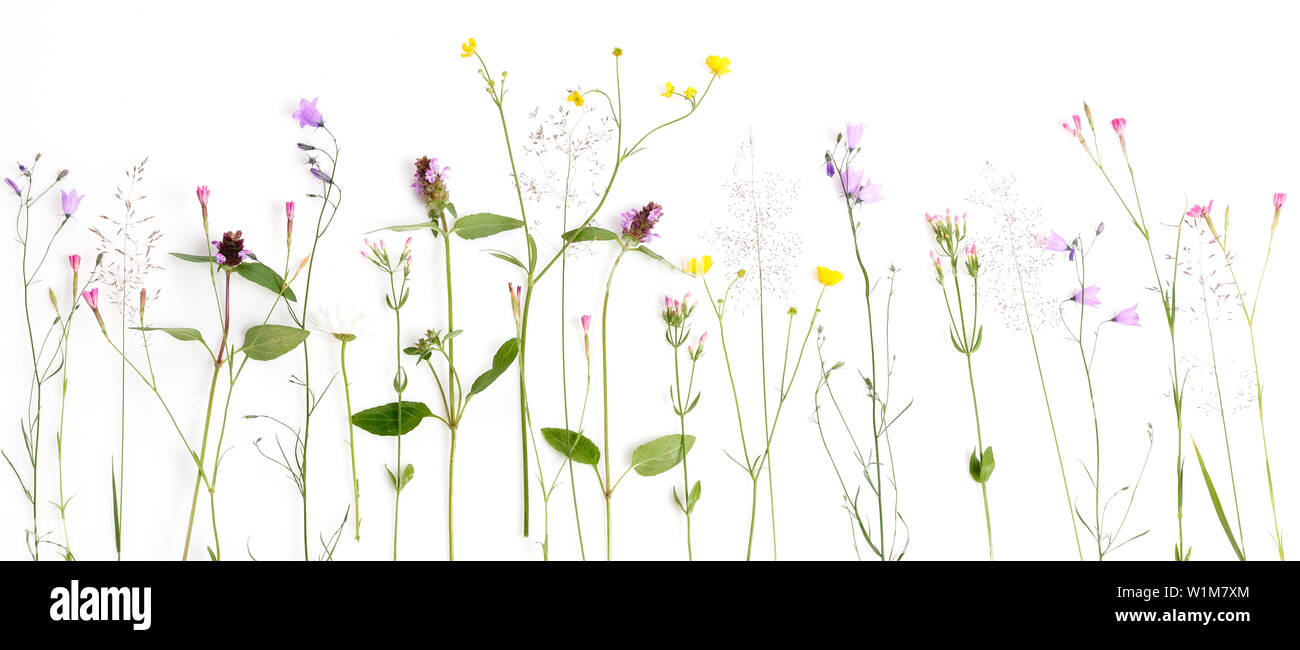 Creative flat lay border Cut Out Stock Images & Pictures - Alamy