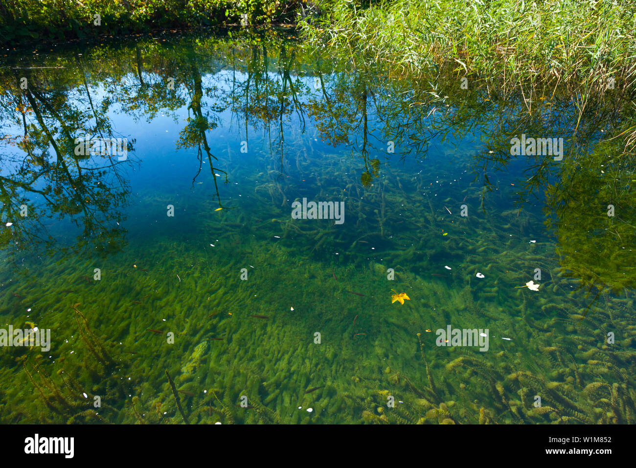 Plitvice lakes National Park, Lika region, Croacia, Europe Stock Photo ...