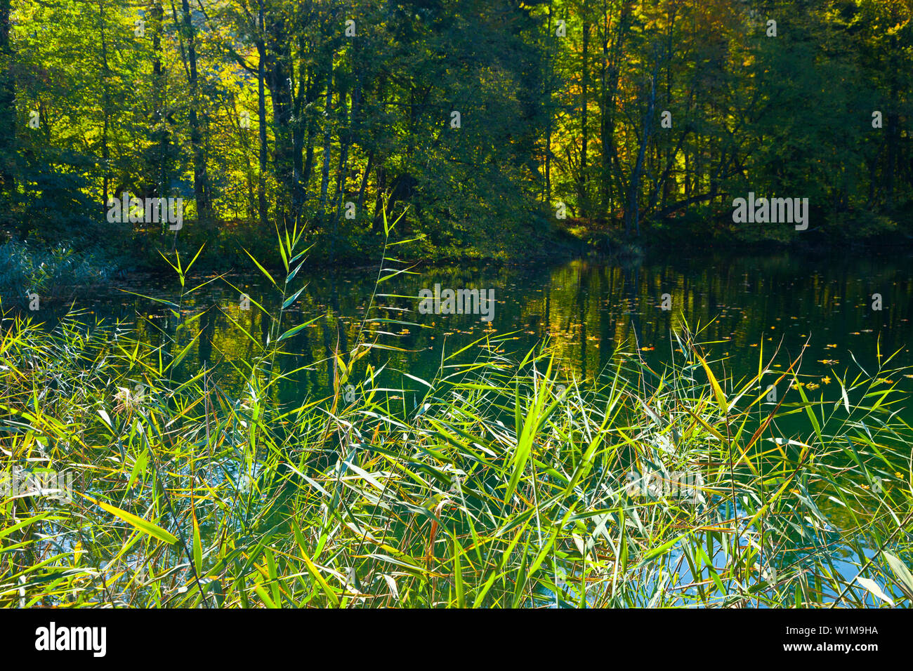 Plitvice lakes National Park, Lika region, Croacia, Europe Stock Photo ...