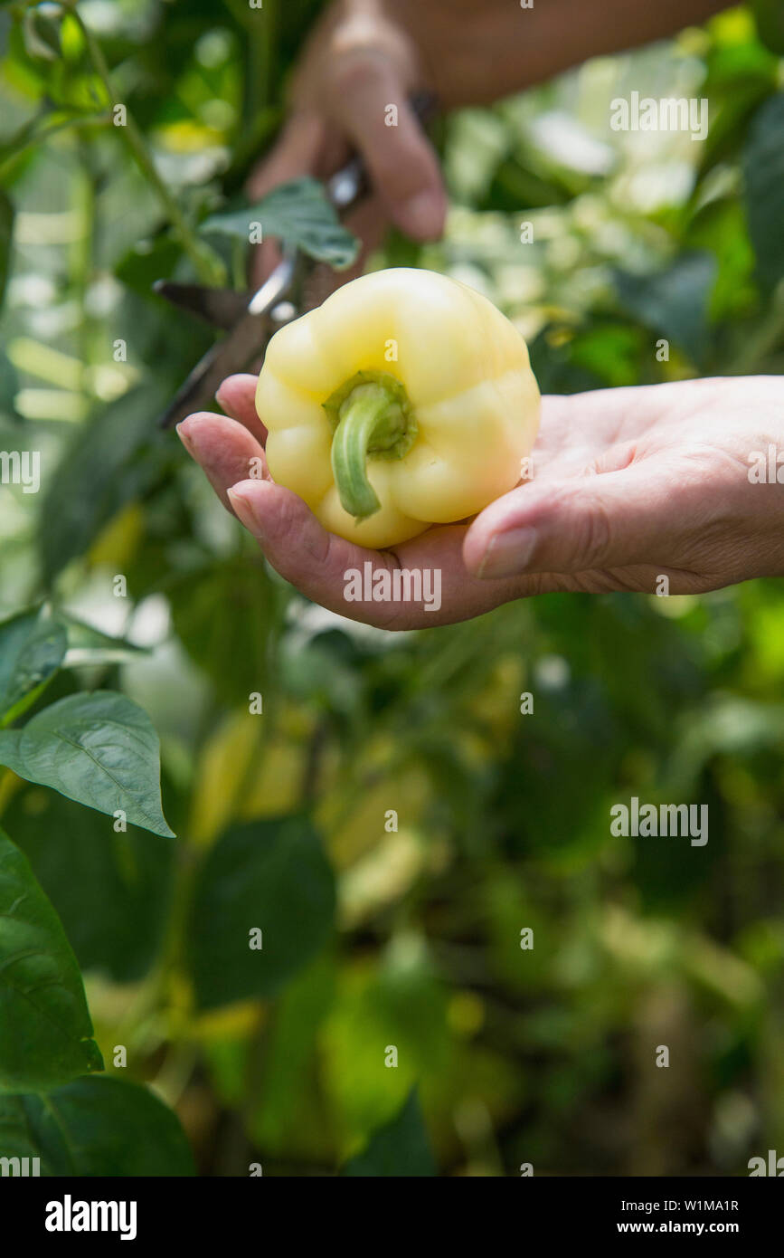 Human handoutdoor hi-res stock photography and images - Alamy