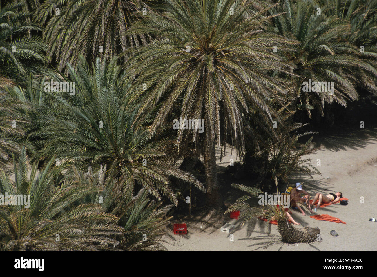 Palmenstrand, Vai, Kreta Griechenland Stock Photo - Alamy