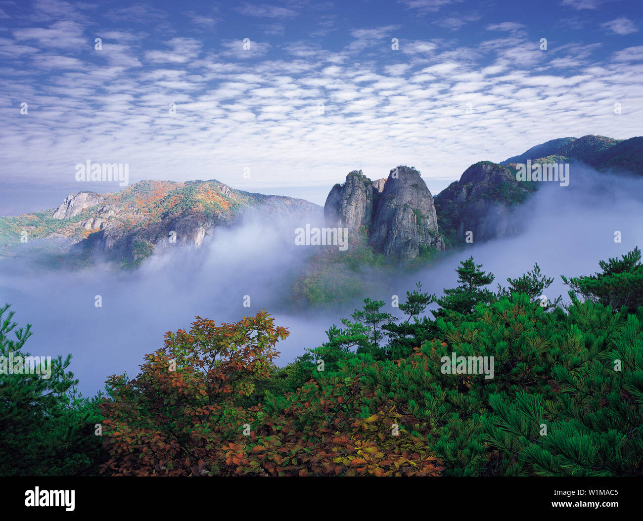 Juwang hi-res stock photography and images - Alamy