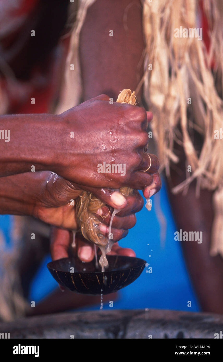 Yakona Ceremony, Yanuya, Yasawa Islands Fiji Stock Photo - Alamy