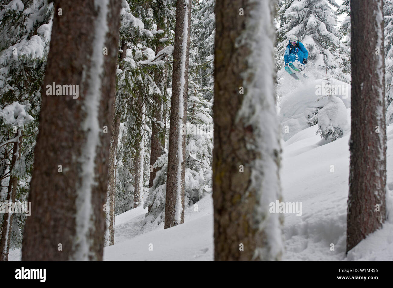 Austria view single tree hi-res stock photography and images - Alamy