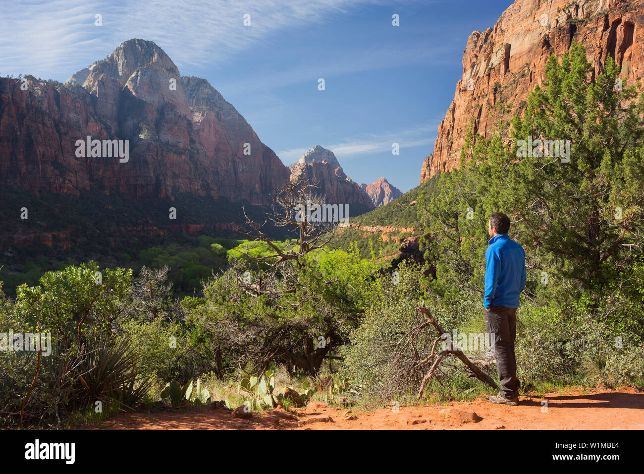 junger Mann, Mountain of the Sun, Virgin River Valley, Zion National ...