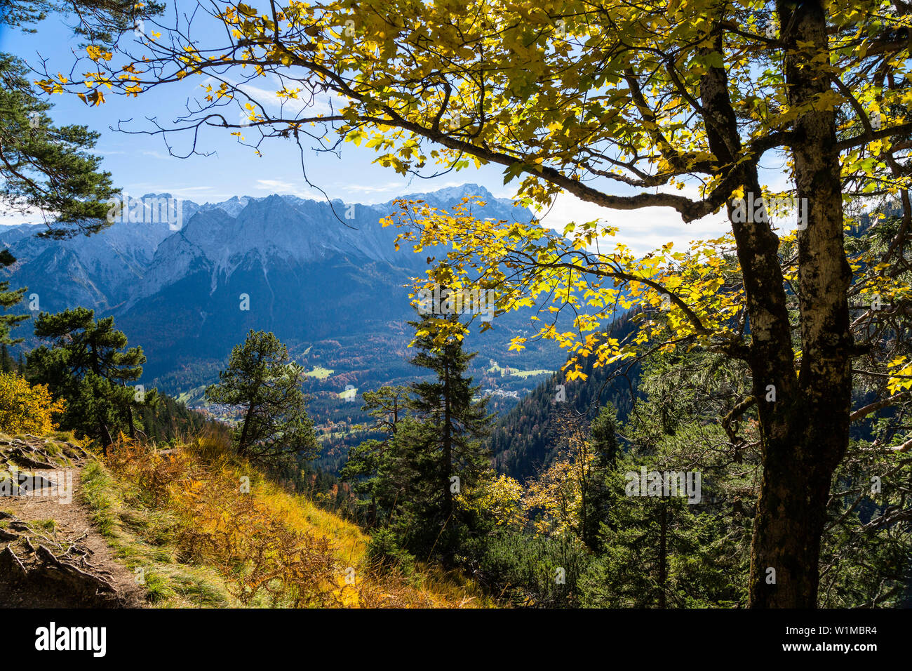 mountain forest, Mixed forest, fall, Kramer, Garmisch, Wetterstein ...