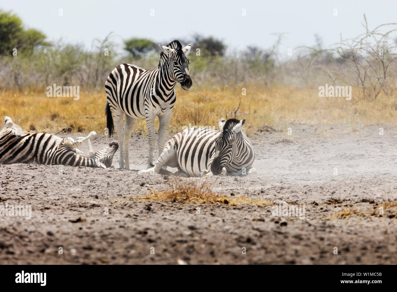 Wildernessoutdoor hi-res stock photography and images - Alamy