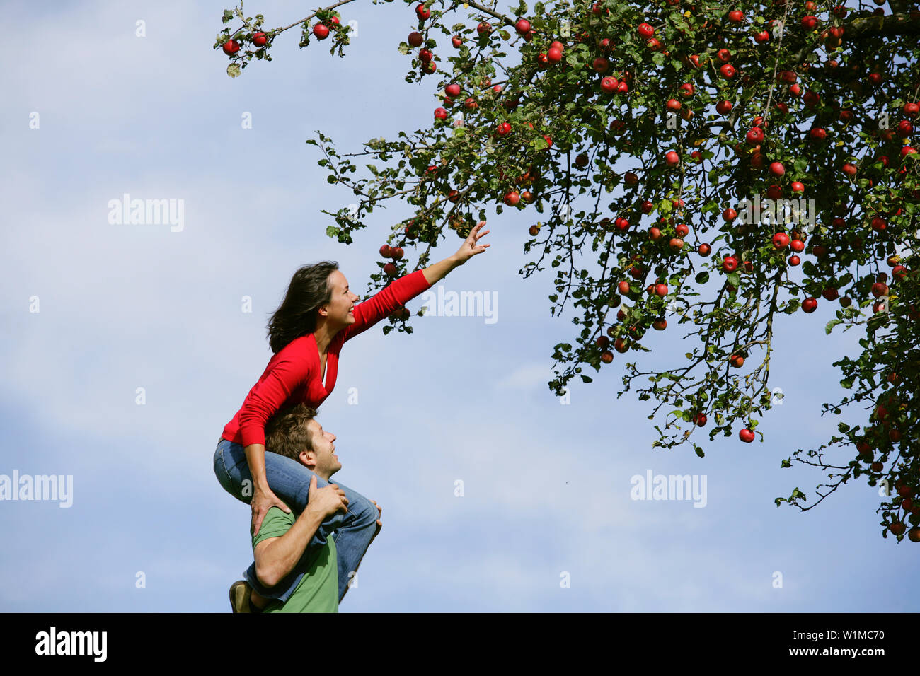 People reaching fruit on tree hi-res stock photography and images - Alamy