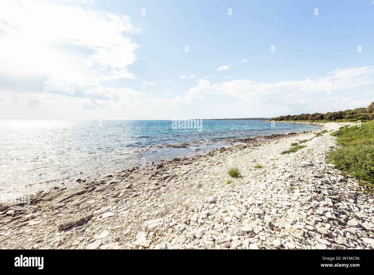 Mediterranean coast with forest, Peroj, Istria, Croatia Stock Photo - Alamy