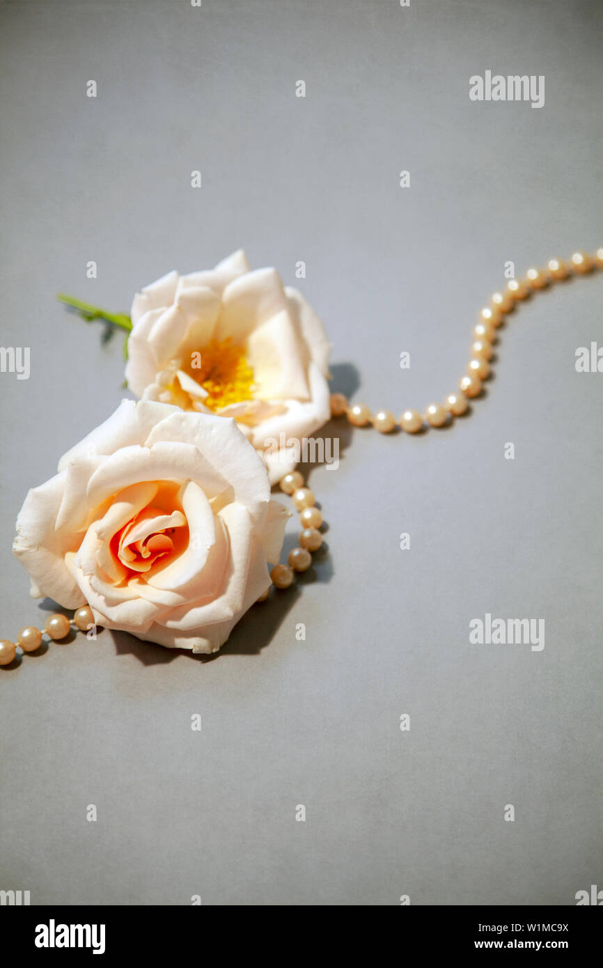 Pair of pink roses hi-res stock photography and images - Alamy