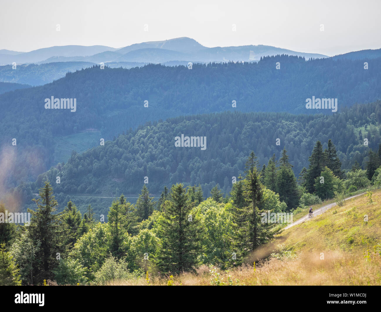 Belchen hi-res stock photography and images - Alamy
