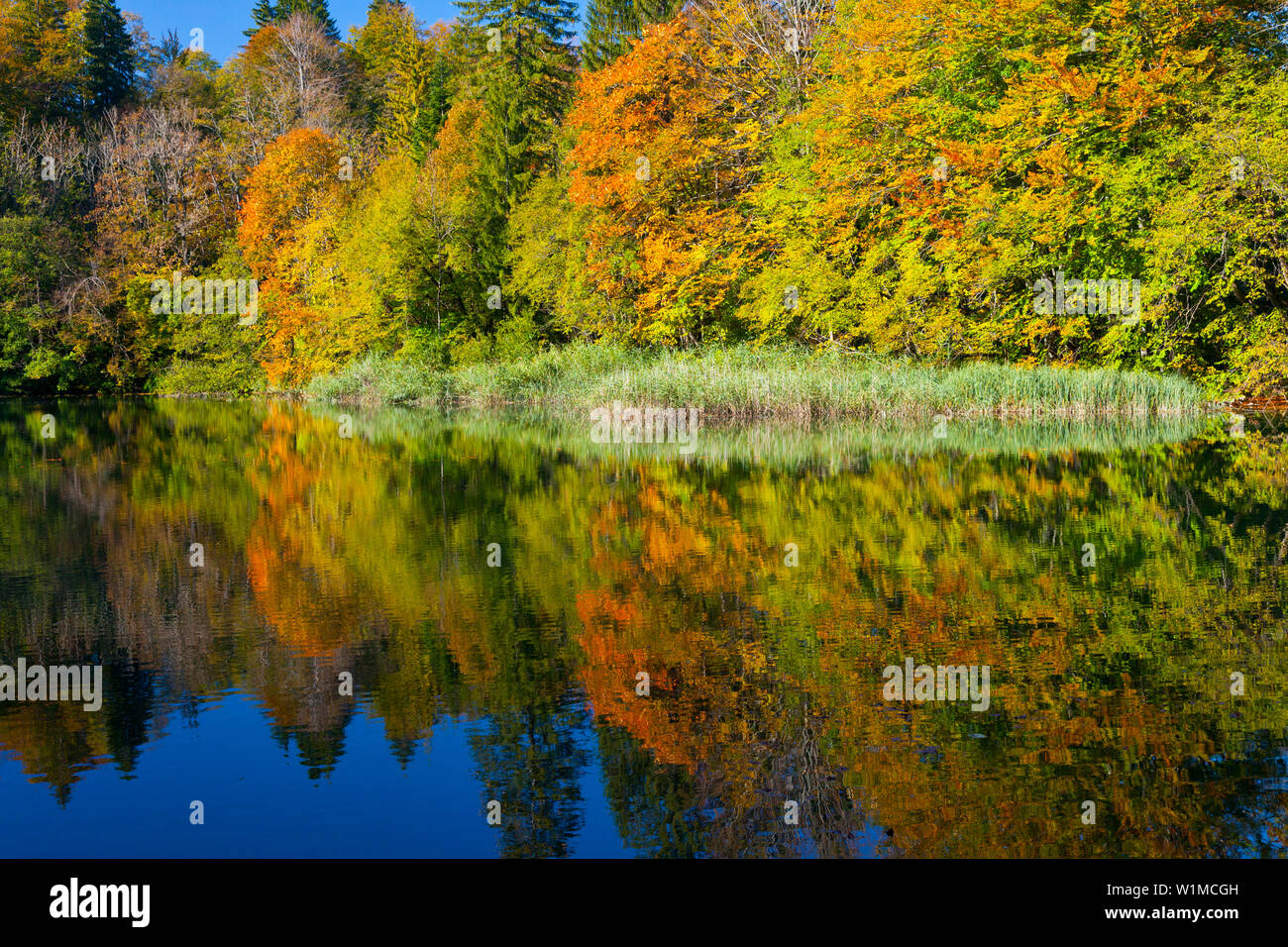 Plitvice lakes National Park, Lika region, Croacia, Europe Stock Photo ...
