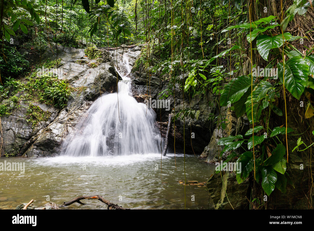 Tobago rainforest waterfall hi-res stock photography and images - Alamy
