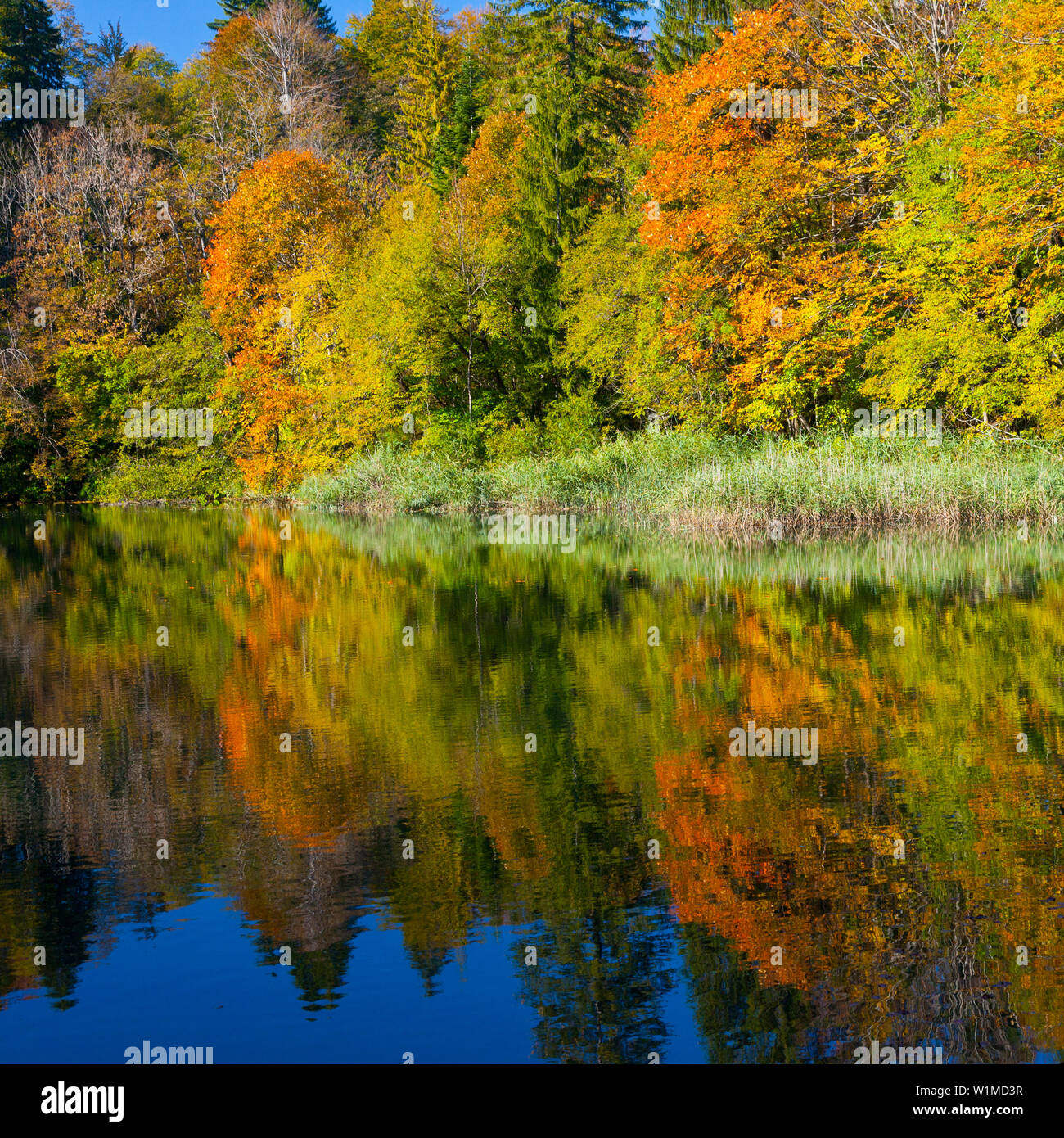 Plitvice lakes National Park, Lika region, Croacia, Europe Stock Photo ...